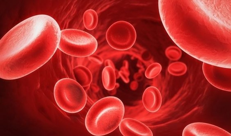 Anemia Ferropriva Causas Sintomas e Tratamento